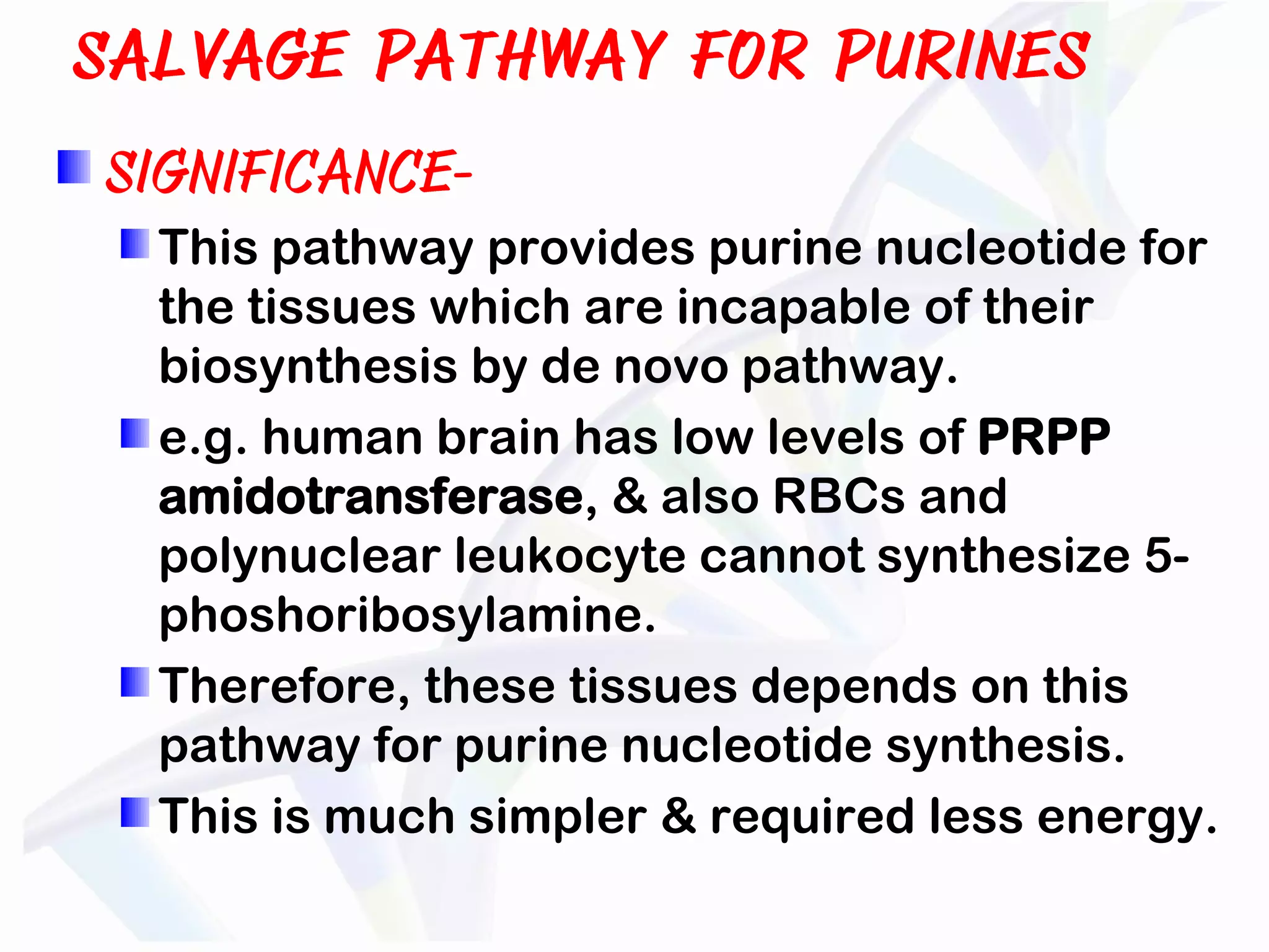 Biosynthesis of Purine Ribonucleotide, Gout | PDF