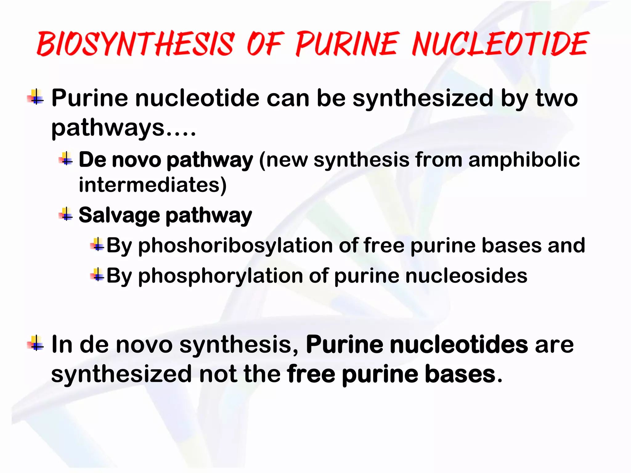 Biosynthesis of Purine Ribonucleotide, Gout | PDF