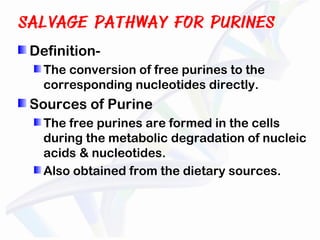Biosynthesis of Purine Ribonucleotide, Gout | PDF | Endocrine and ...