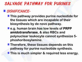 Biosynthesis of Purine Ribonucleotide, Gout | PDF