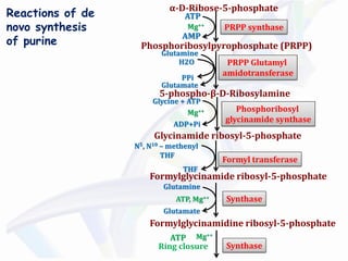 Biosynthesis of Purine Ribonucleotide, Gout | PDF
