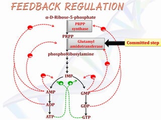Biosynthesis of Purine Ribonucleotide, Gout | PDF