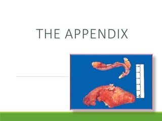 64-GIT 6.pdf peptic ulcer ND GASTRIC ULCer | PDF