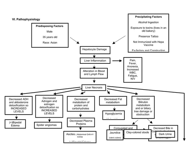 64040266-Liver-Patho-and-Eco.pdf