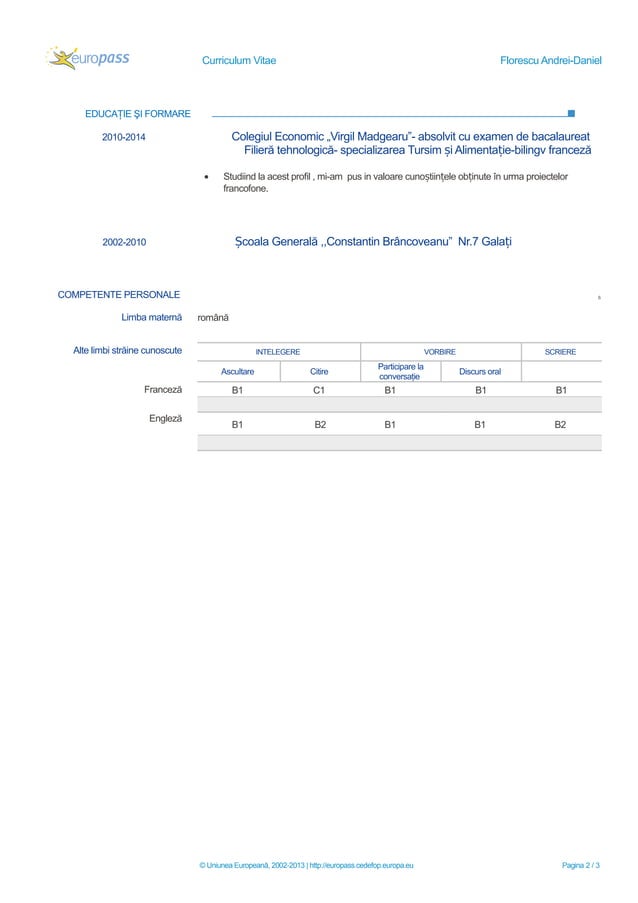 Florescu Andrei CV | PDF