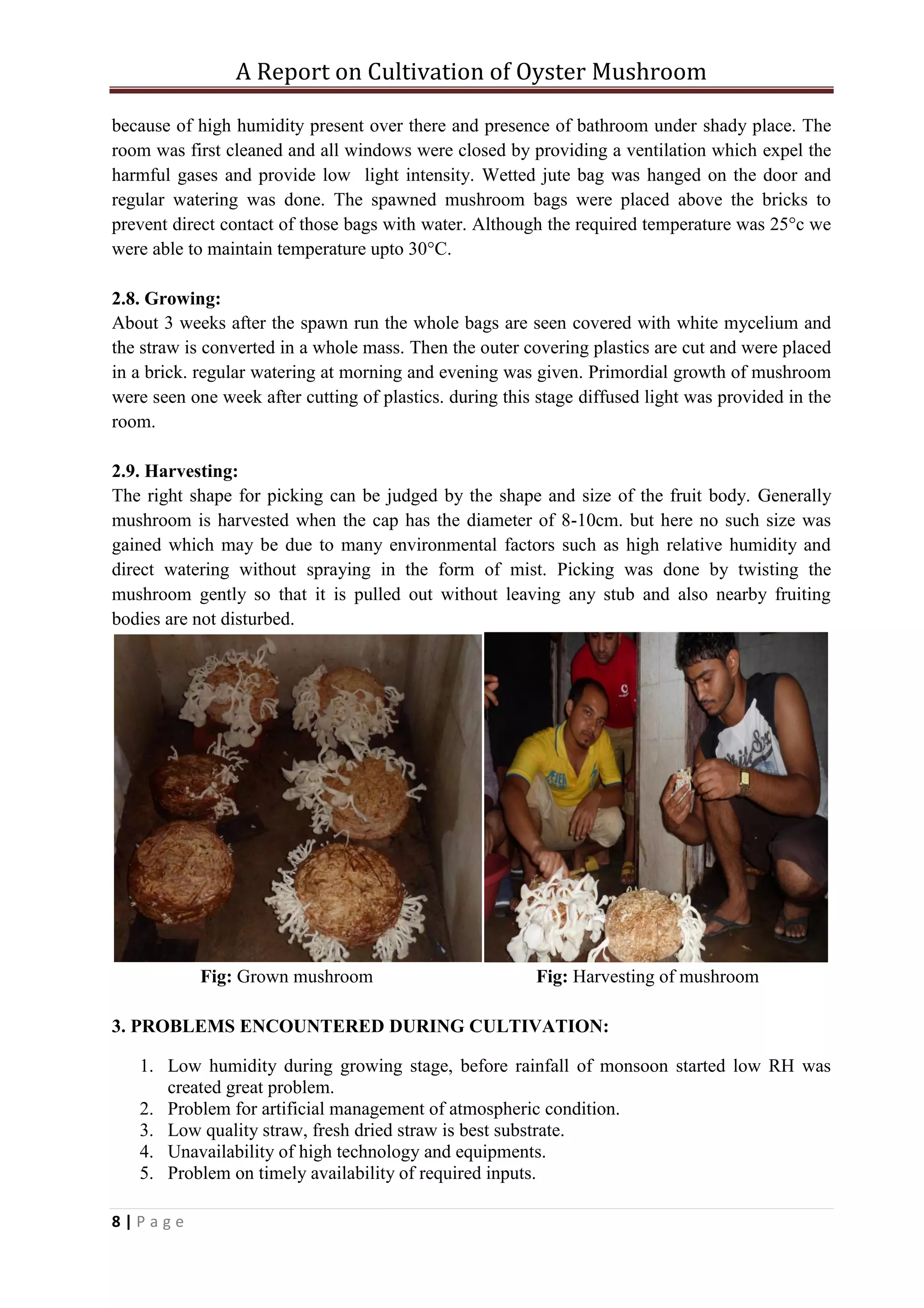 mushroom-report | PDF
