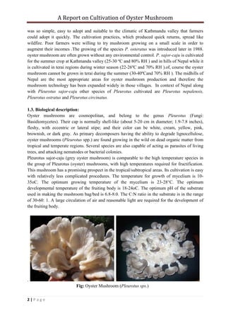 mushroom-report | PDF