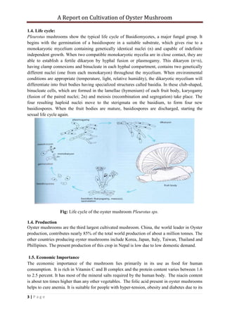 mushroom-report | PDF
