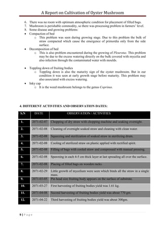 mushroom-report | PDF
