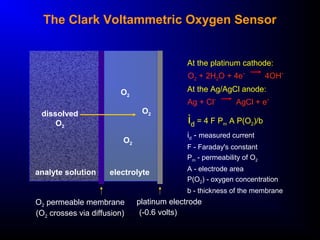 6412121cbb2dc2cb9e460cfee7046be2 original | PPT