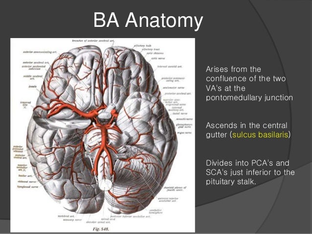 Basilar approaches Azam Basheer MD 9-2-14