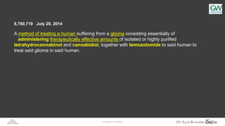 JOE WYSE IP TOOLBOX in CannTech | PPT