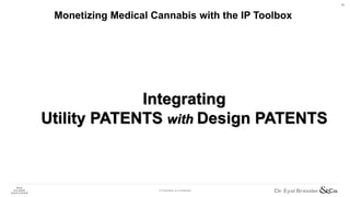 JOE WYSE IP TOOLBOX in CannTech | PPT