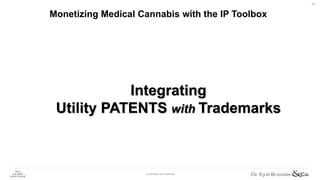 JOE WYSE IP TOOLBOX in CannTech | PPT
