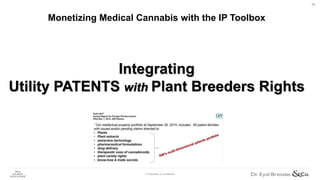 JOE WYSE IP TOOLBOX in CannTech | PPT