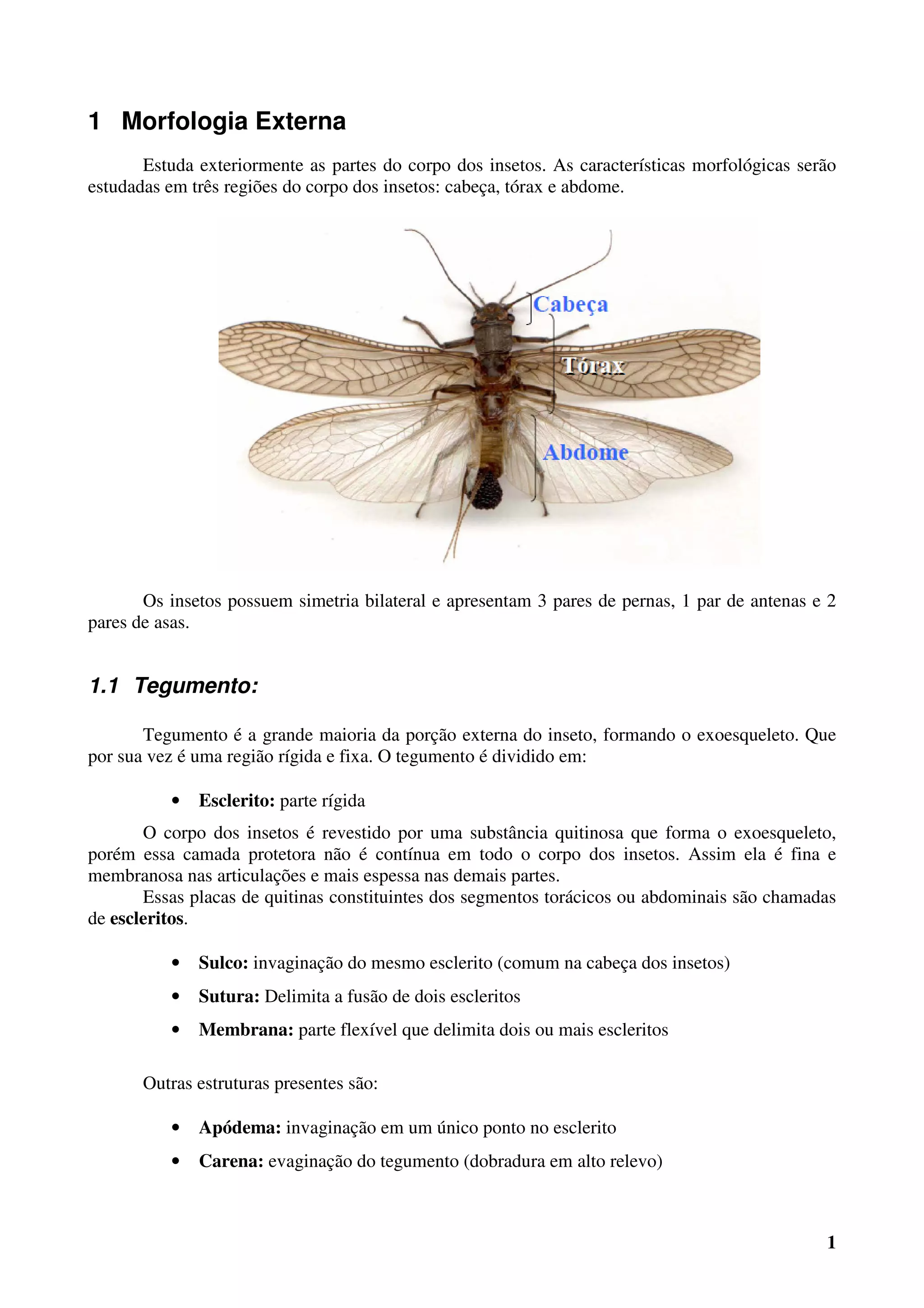 Apostila-entomologia-geral | PDF