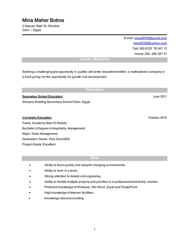 Mina Maher CV | PDF | Free Download