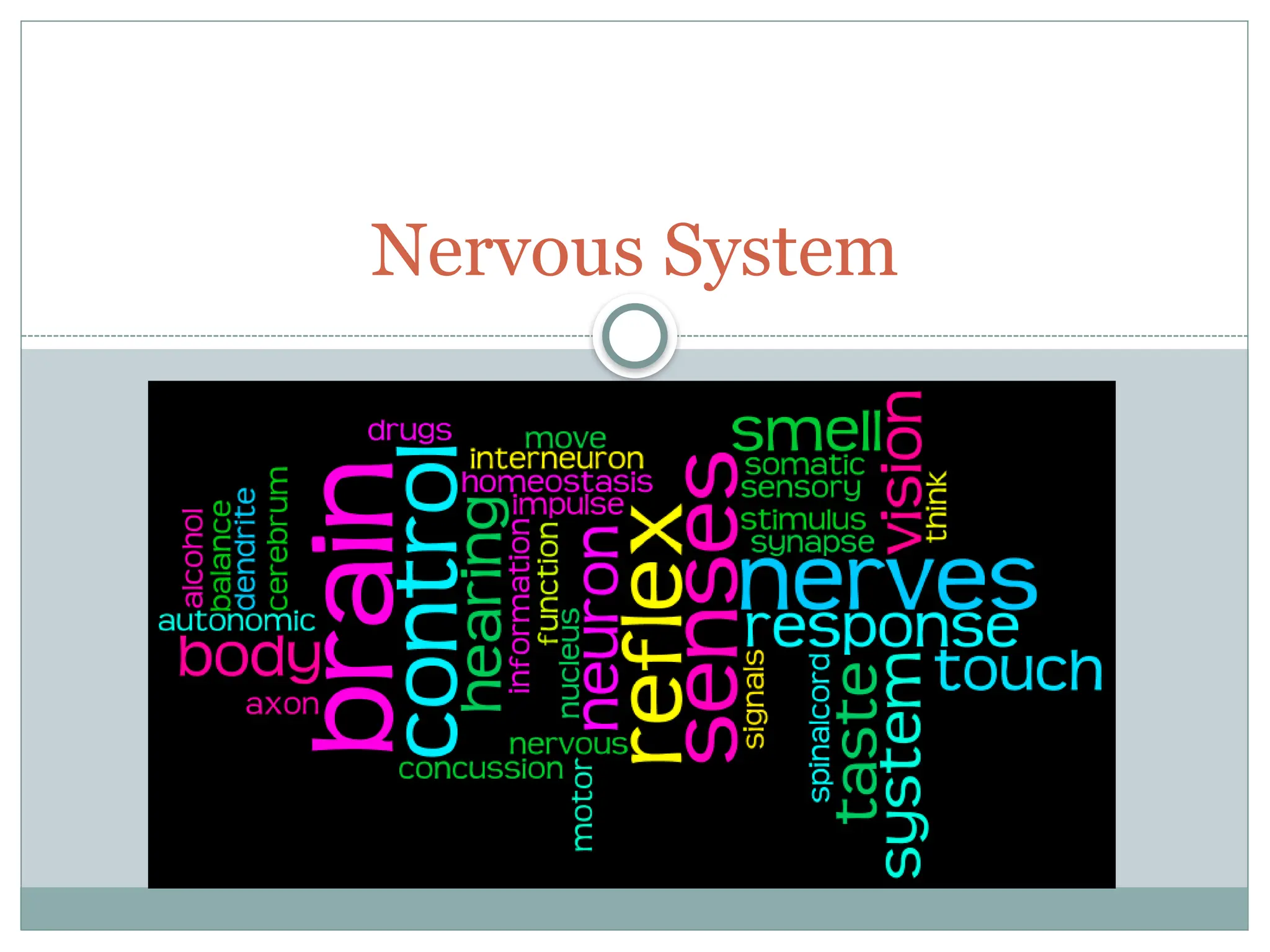 Anatomy and physiology of nervous system | PPT