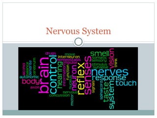 Anatomy and physiology of nervous system | PPT