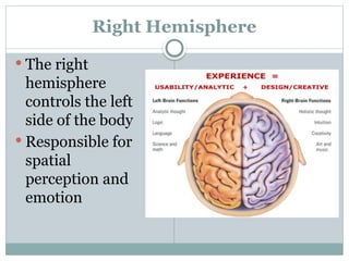 Anatomy and physiology of nervous system | PPT