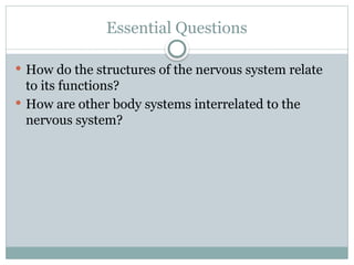 Anatomy and physiology of nervous system | PPT