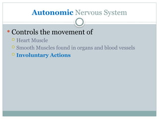 Anatomy and physiology of nervous system | PPT
