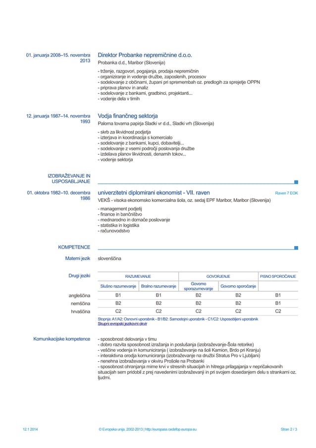 CV Borut-Slovenščina | PDF