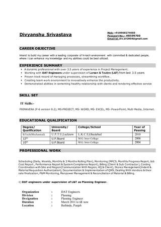 Project Manager Resume Summary | PDF
