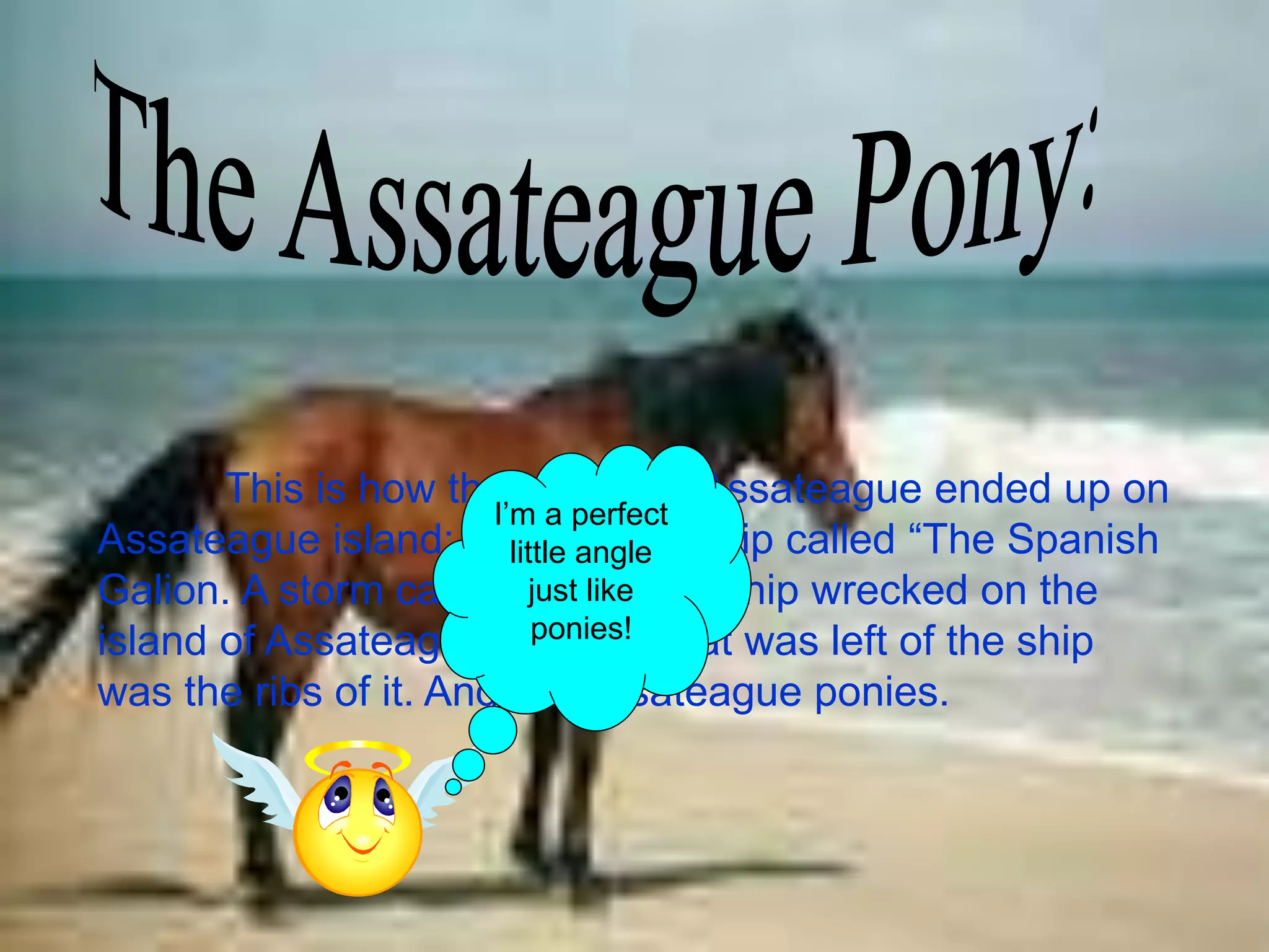 Plants and Animals of Assateague Island | PPT