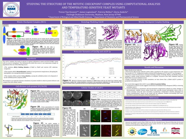 ACS Poster TV4 TM2 JE | PPTX