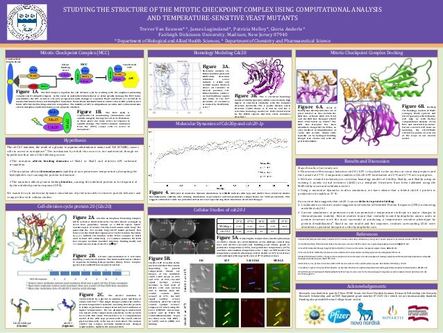 ACS Poster TV4 TM2 JE