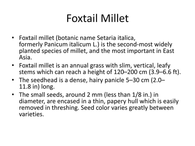 Foxtail Millet | PPTX