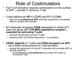 immunology chapter 9 : activation of T lymphocytes | PPT