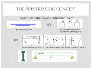 OPTIMIZATION OF PRESTRESSED CONCRETE BEAMS-student vincenzo roberti | PPT