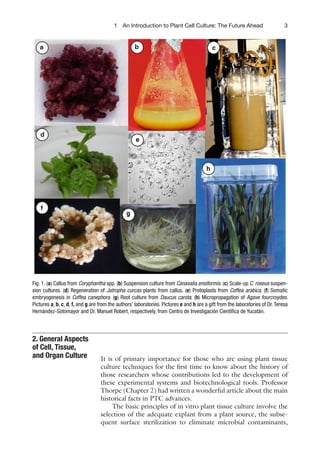 Plant Cell Culture Protocols 3rd Edition Víctor M. Loyola-Vargas | PDF