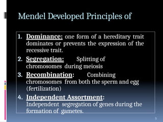 649185203-Mendelian-Genetics-PowerPoint.pptx