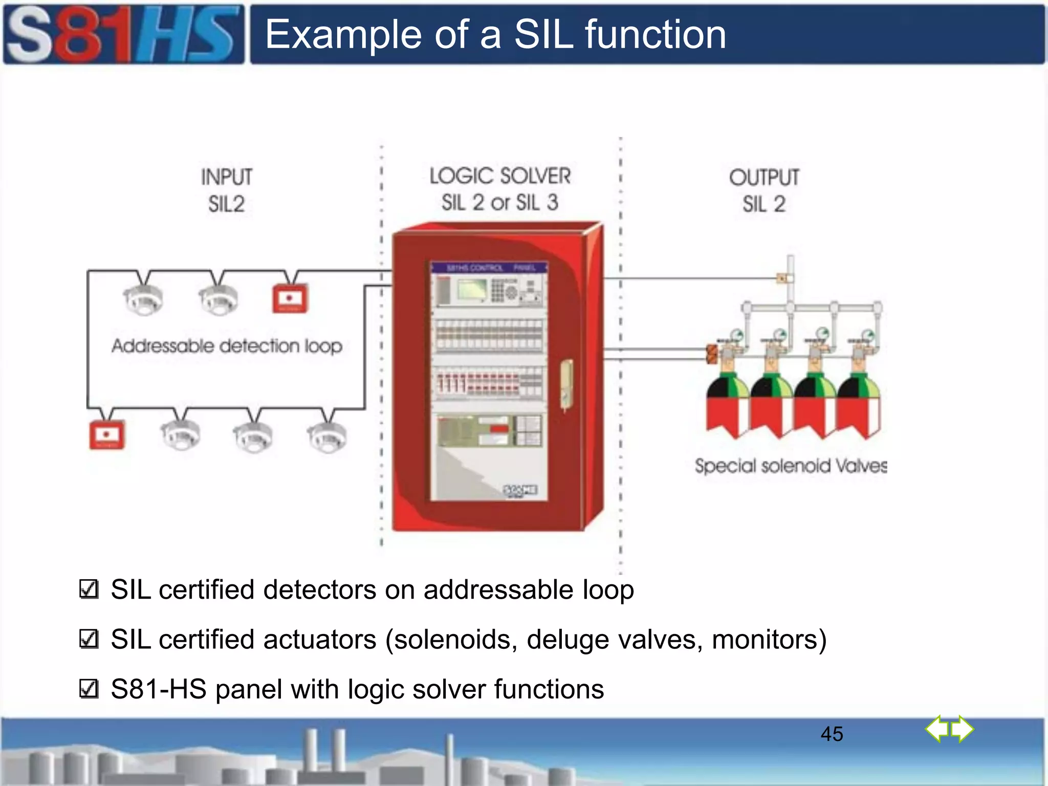 S81-HS Panel Presentation | PDF