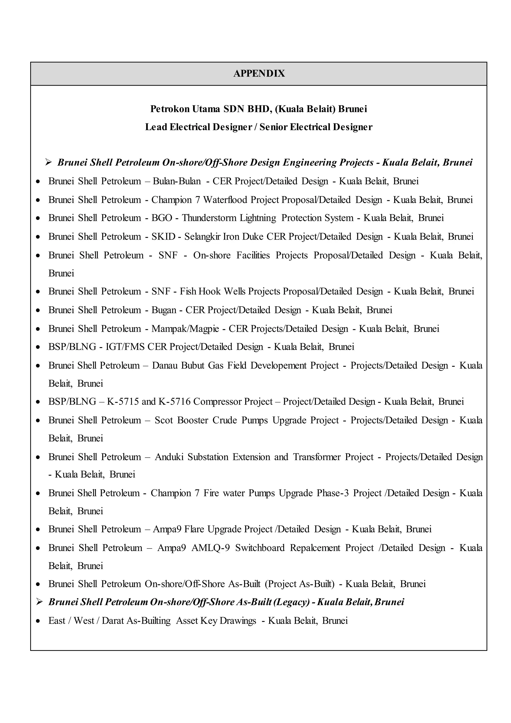 RESUME Updated - with photo | DOCX