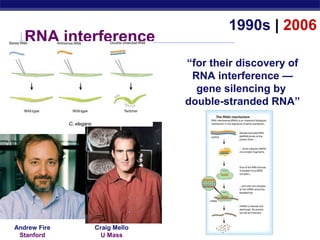 64 eukaryoticgenecontrol2008 | PPT