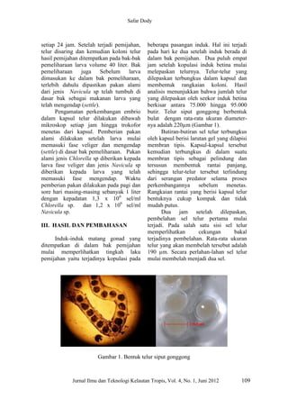 64 reproduksi perkembangan larva | PDF