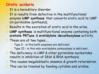 Pyrimidine Synthesis and Degradation | PDF