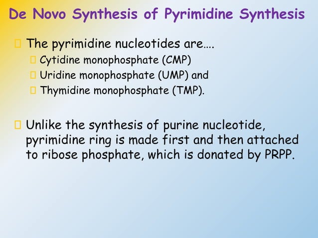 Pyrimidine Synthesis and Degradation | PDF