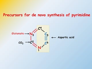 Pyrimidine Synthesis and Degradation | PDF