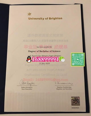 University of Brighton degree offer diploma Transcript | PDF