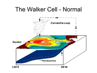 6.5 - El Nino | PPT | Weather | Science