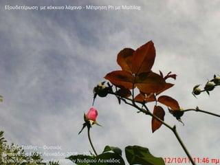 65 - Εξουδετέρωση με κόκκινο λάχανο - Μέτρηση Ph με Multilog. | PPT