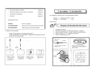 6501692 espermatograma | PDF