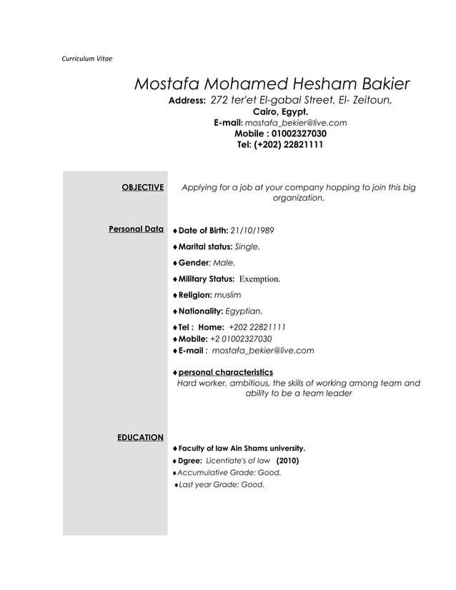 CV_MOSTAFA. | PDF