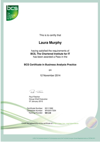 BCS Business Analyst Practice | PDF