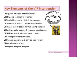 VPP-VIP Focus 4.2011